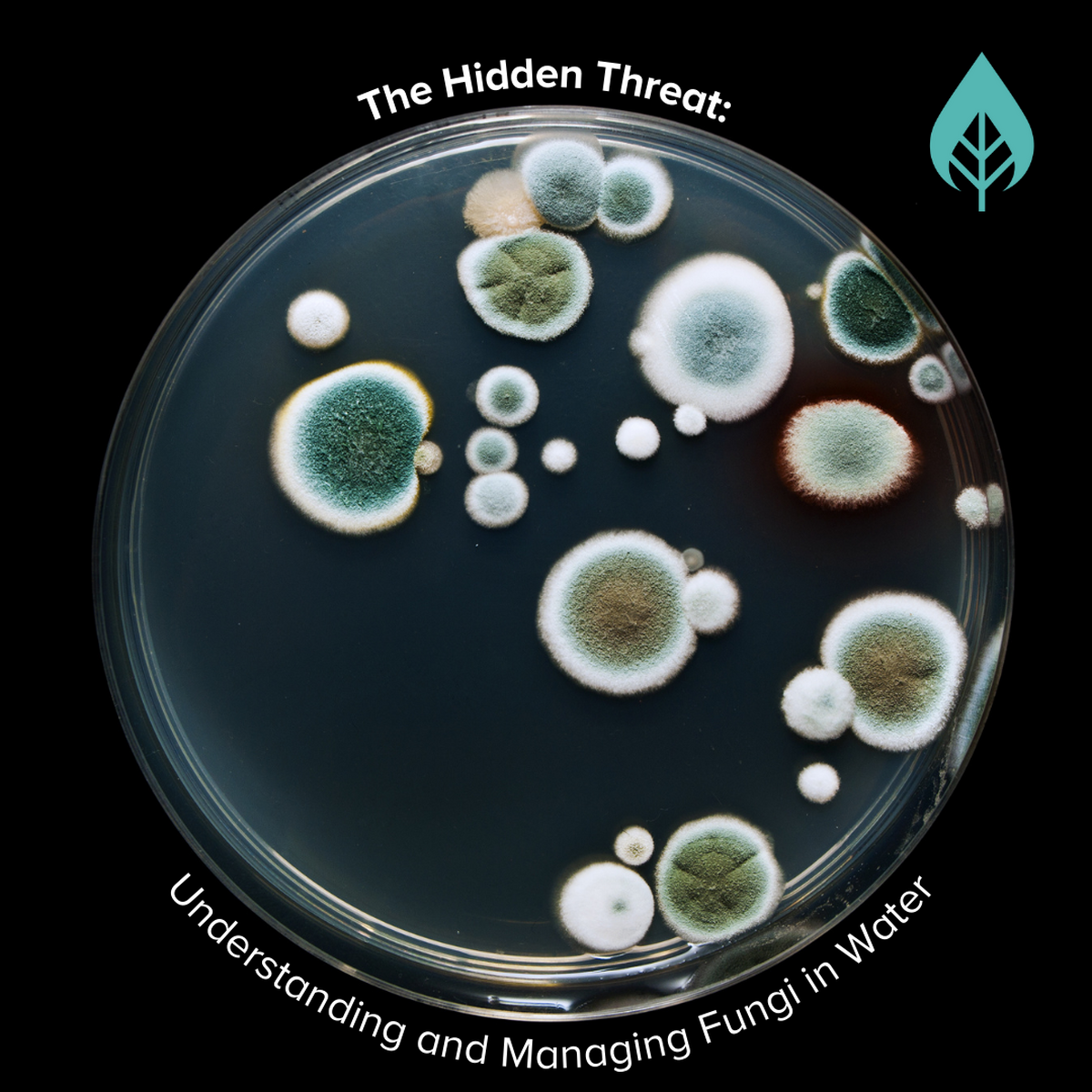 The hidden threat: Understanding and managing fungi in water | WRc