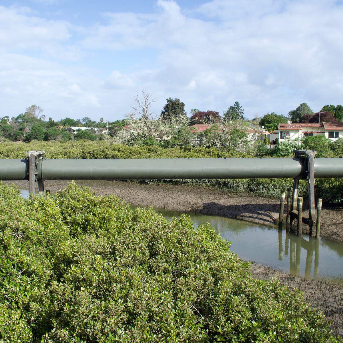 UK and New Zealand come closer on water knowledge | WRc