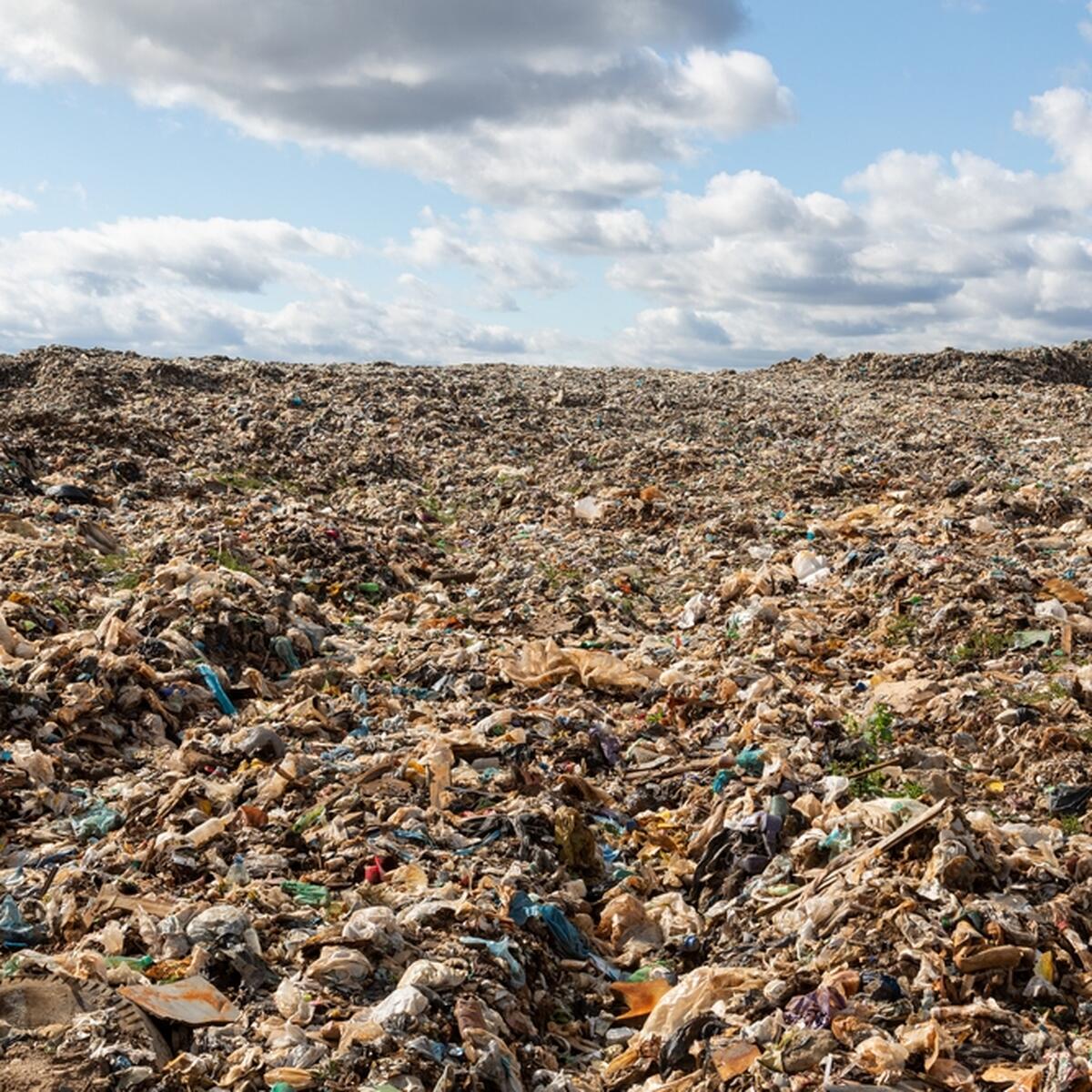 Meet our Waste Doctors at Resource & Waste Management Expo (RWM) | WRc