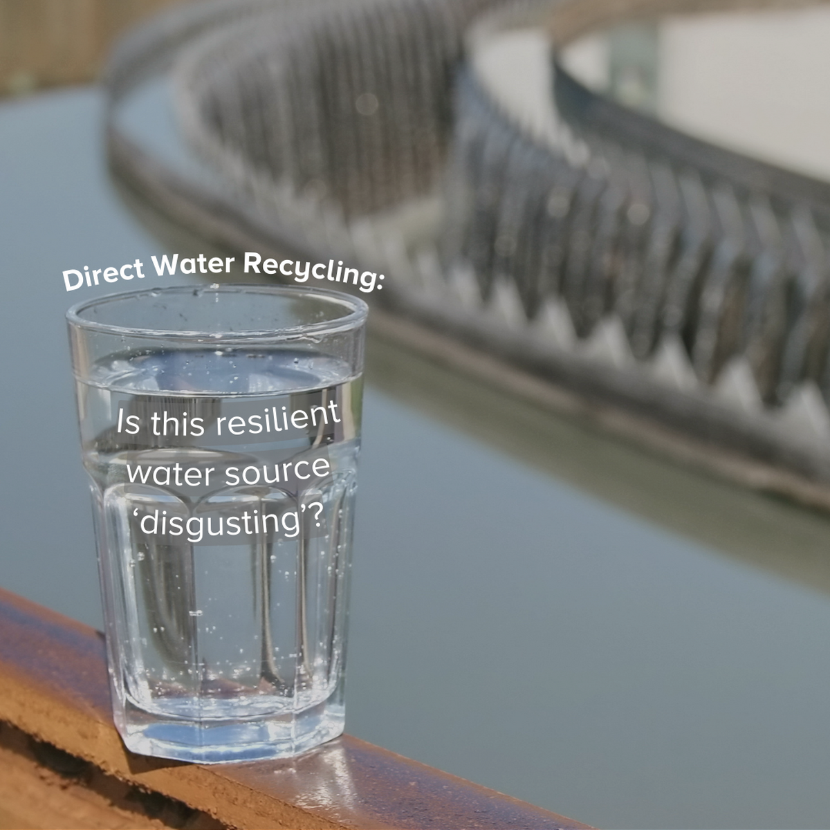 Direct water recycling: Is this resilient water source really ...