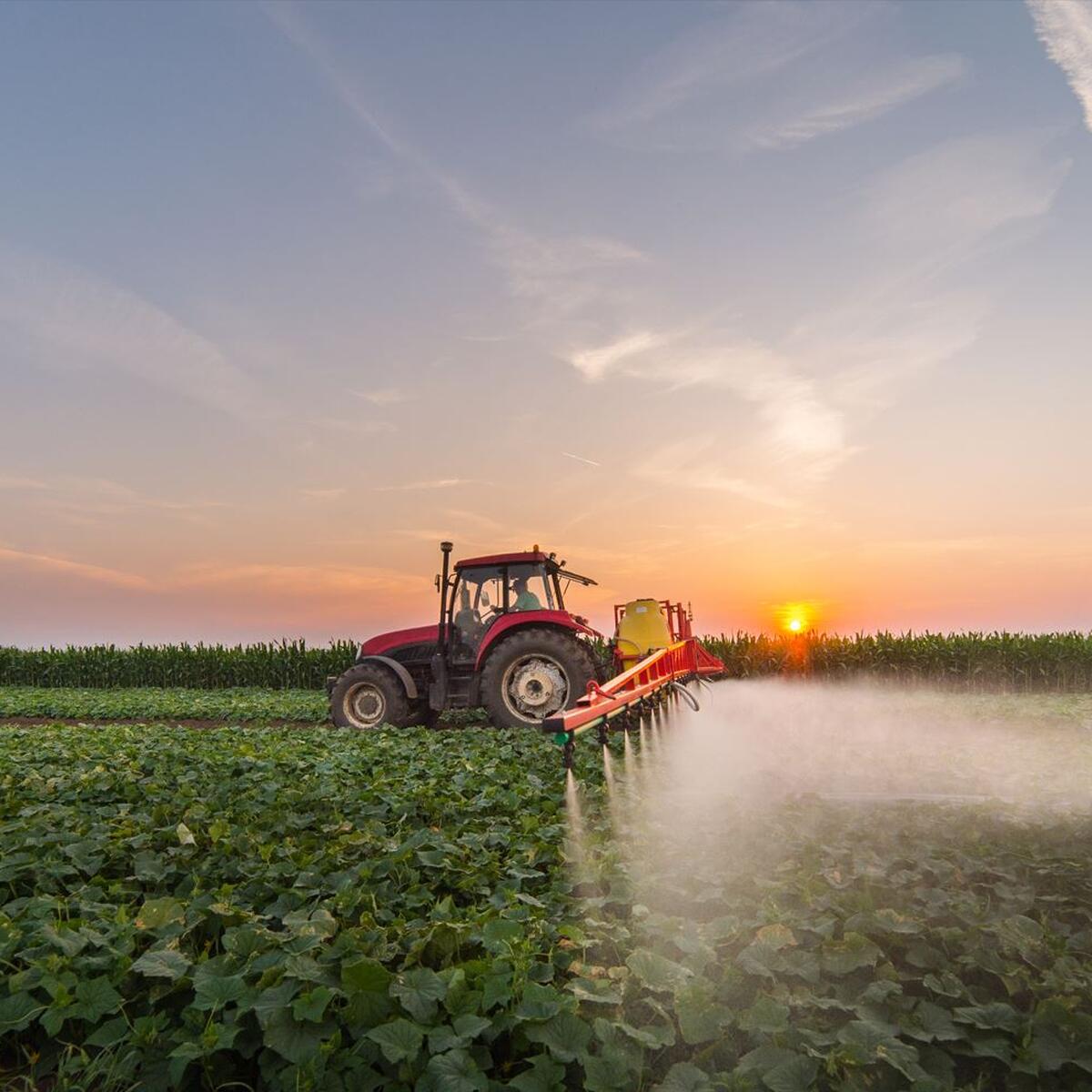 RAPID: Online Database for Pesticides Risk Assessment | WRc